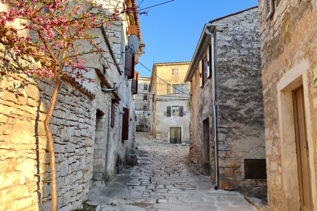 Znate li zašto je Općina Bale mjesto leptira? - IstraIN