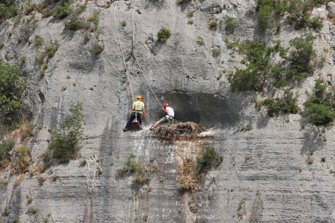 Povodom Svjetskog dana divljih vrsta u Puli saznajte zanimljive ...