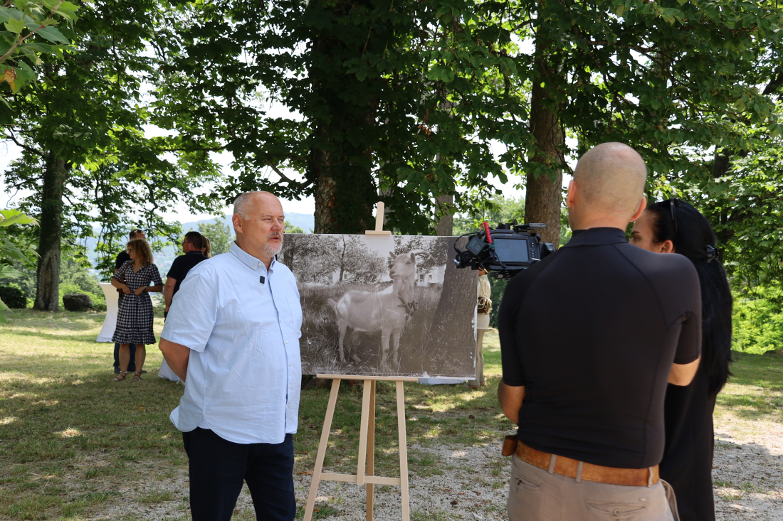 Koza je više od simbola na grbu: Istra slavi zajedništvo i očuvanje ...