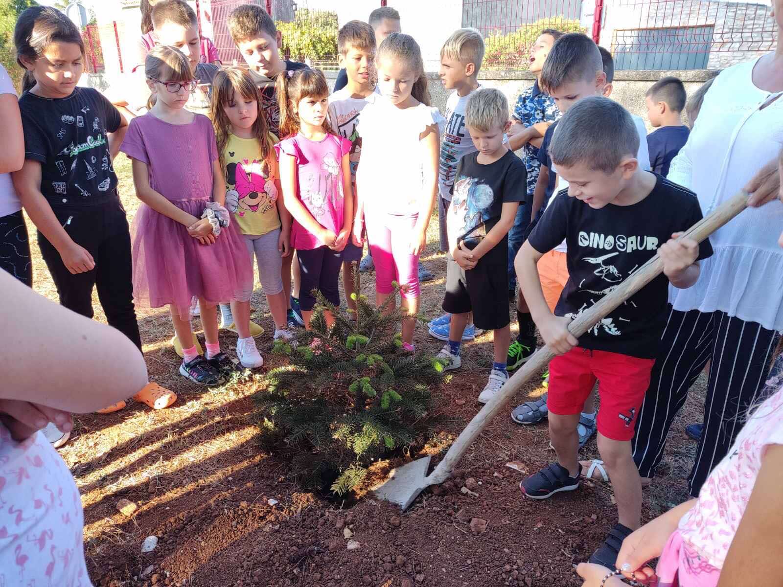 JEDNO STABLO VIŠE - PRIRODA BOLJE DIŠE Prvašići u Šišanu posadili svoje ...