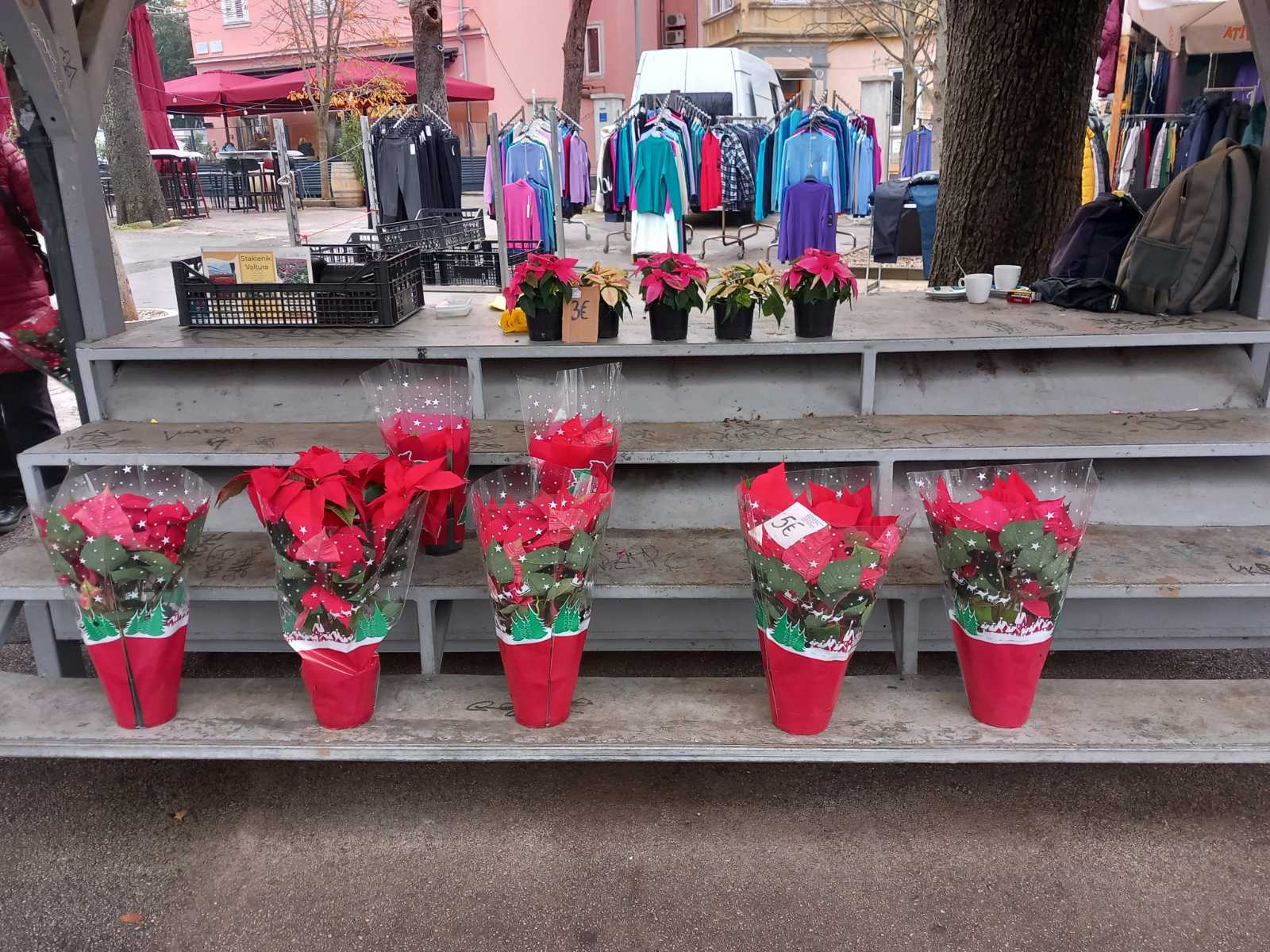 PREKRASNI ARANŽMANI Pronađite božićni asortiman na pulskoj tržnici ...