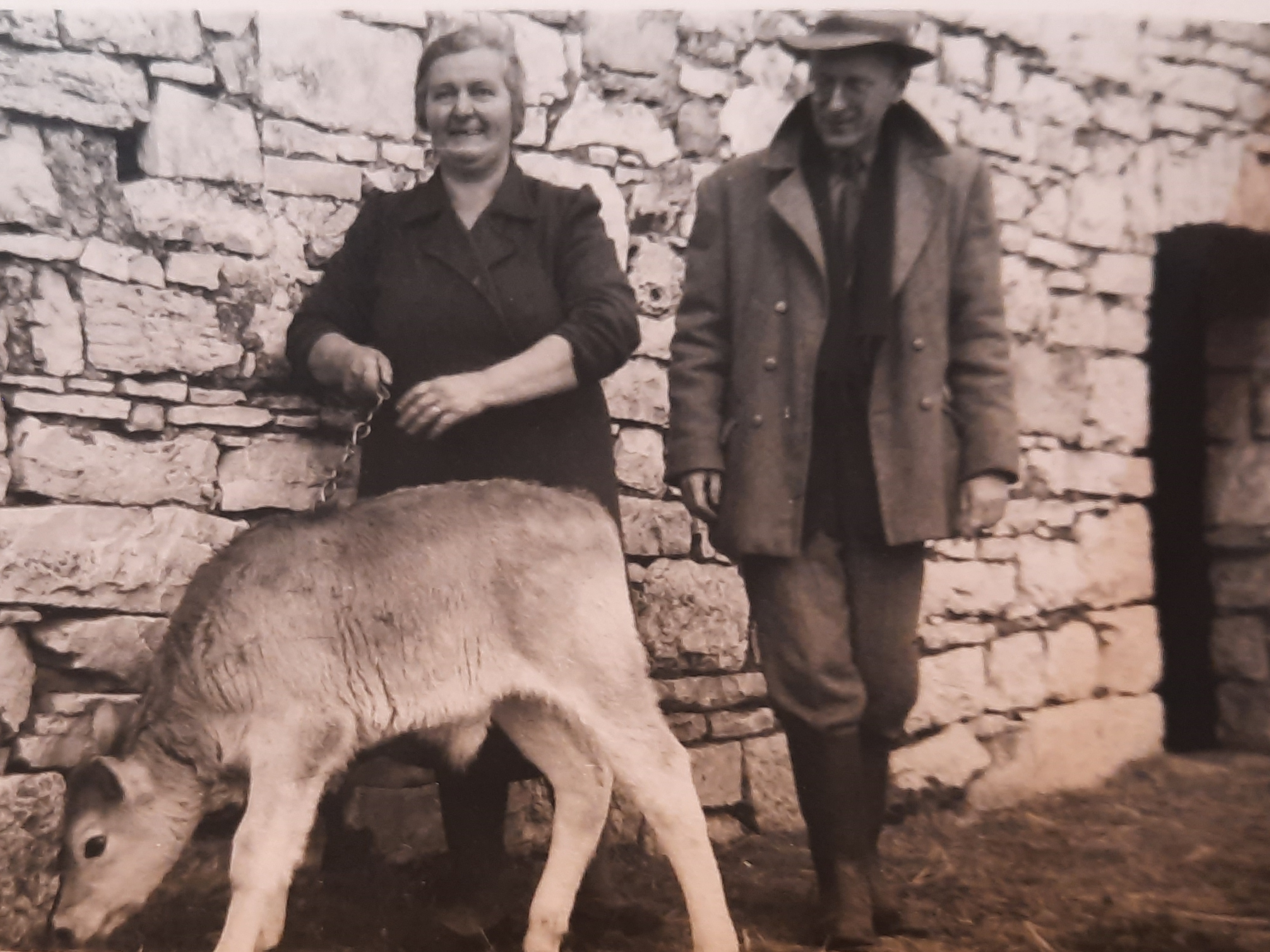 NA DANAŠNJI DAN rođen je poznati istarski veterinar Branimir Skoko ...